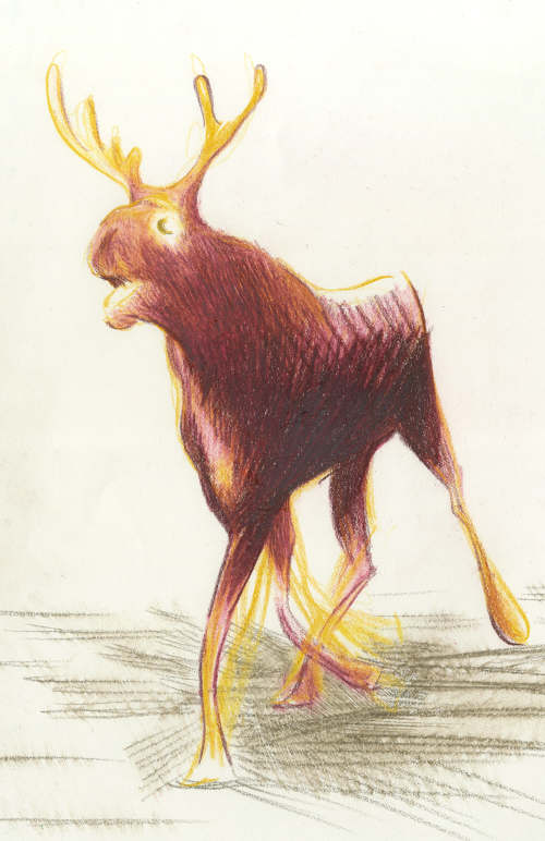 Moose Sketch - Alexander Rothman | Comics Poetry
