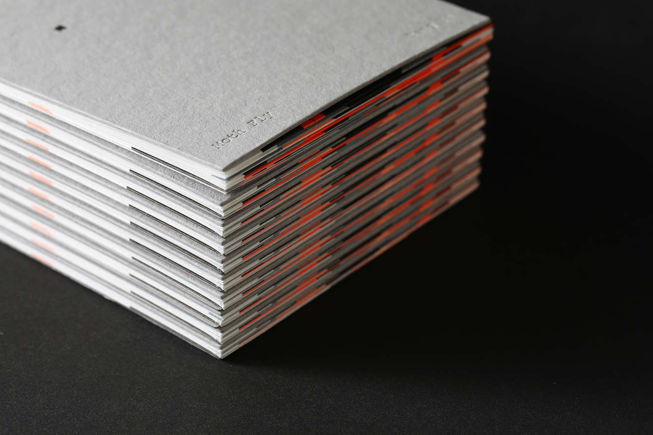 MOTH FLY - Teng Yu Lab