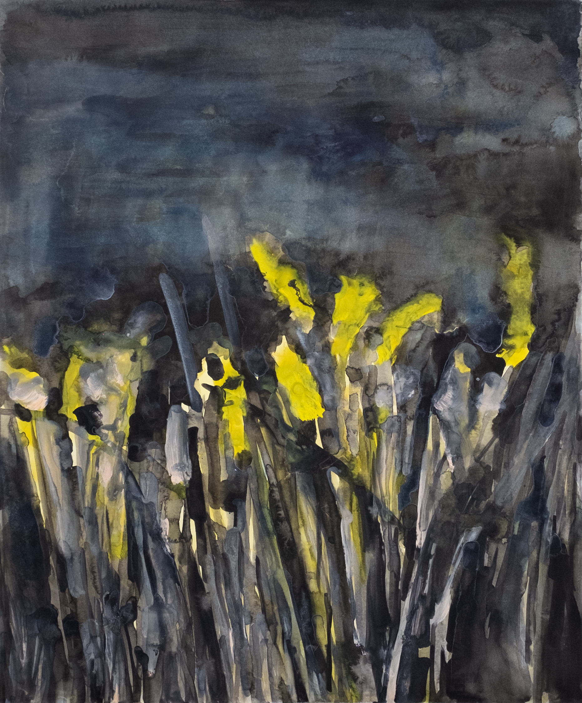 Night Plants - wonyoungchang