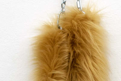 tommy - Mattson Fields