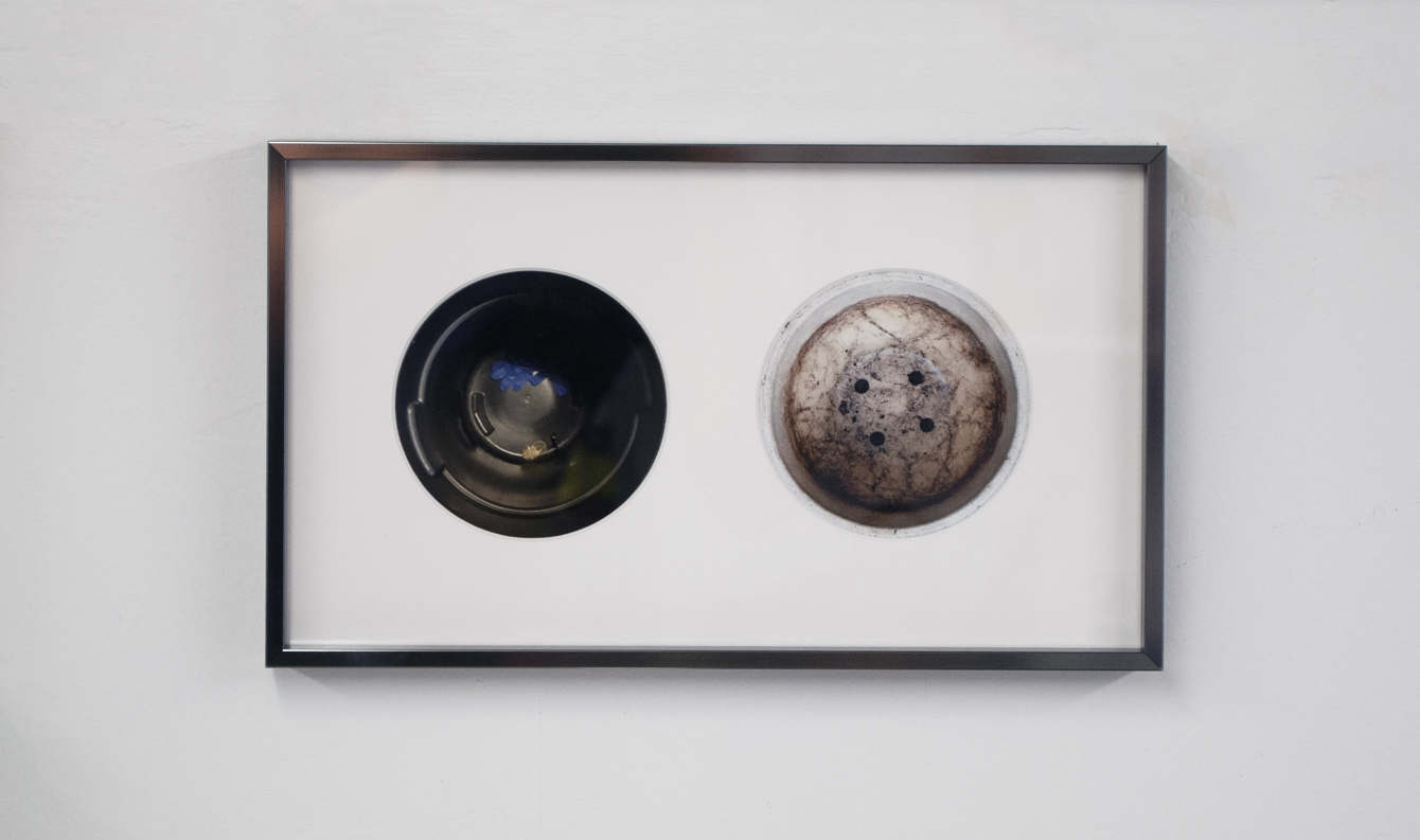 synapse ii - Mattson Fields