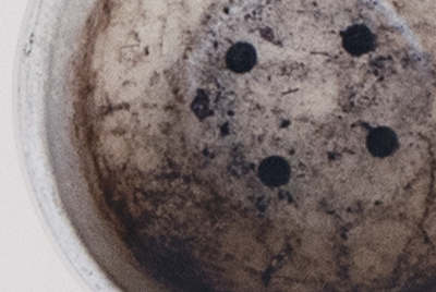 synapse ii - Mattson Fields