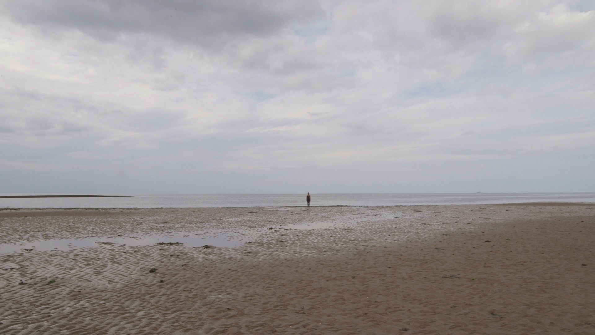 Vindauga - Nathalia Bell