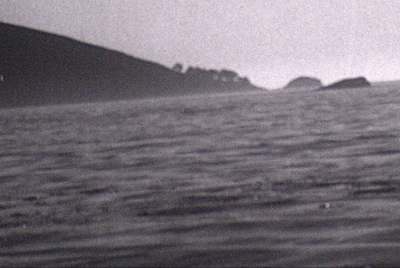 Vindauga - Nathalia Bell