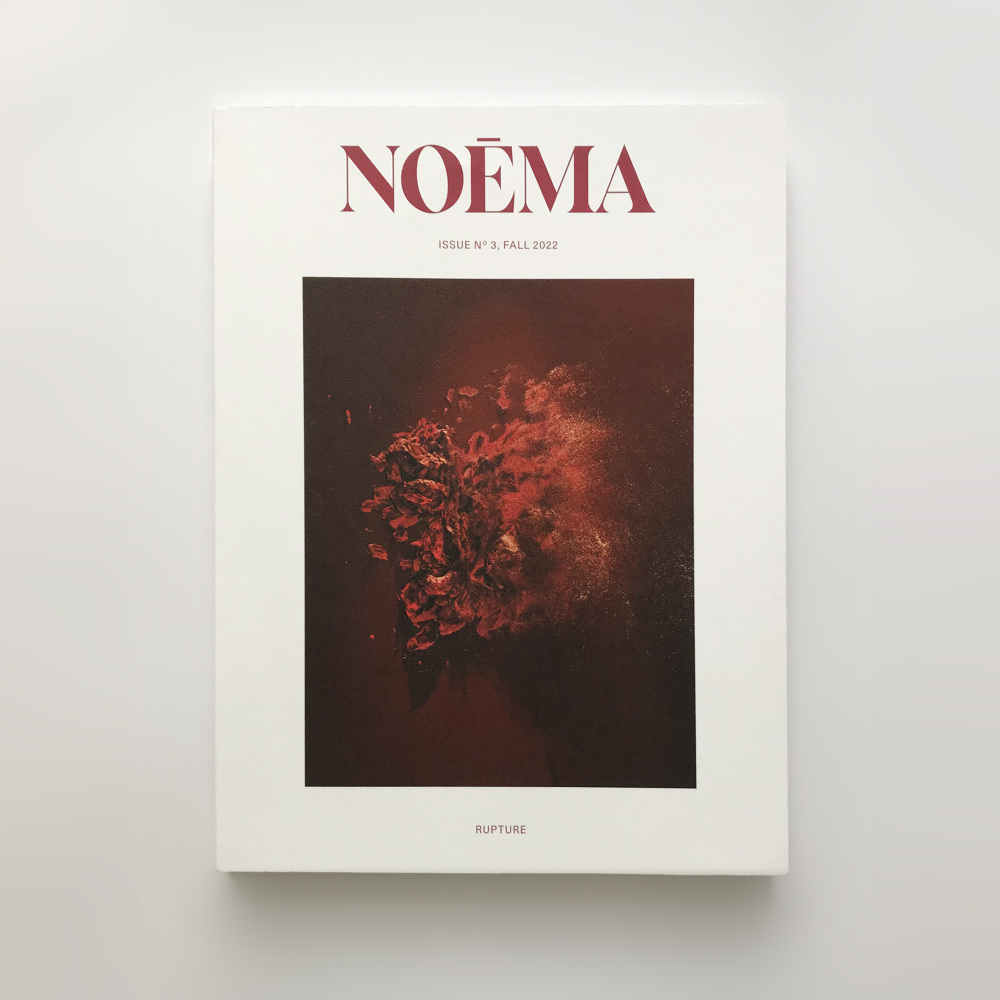 NOEMA I Illustration - Petra Péterffy