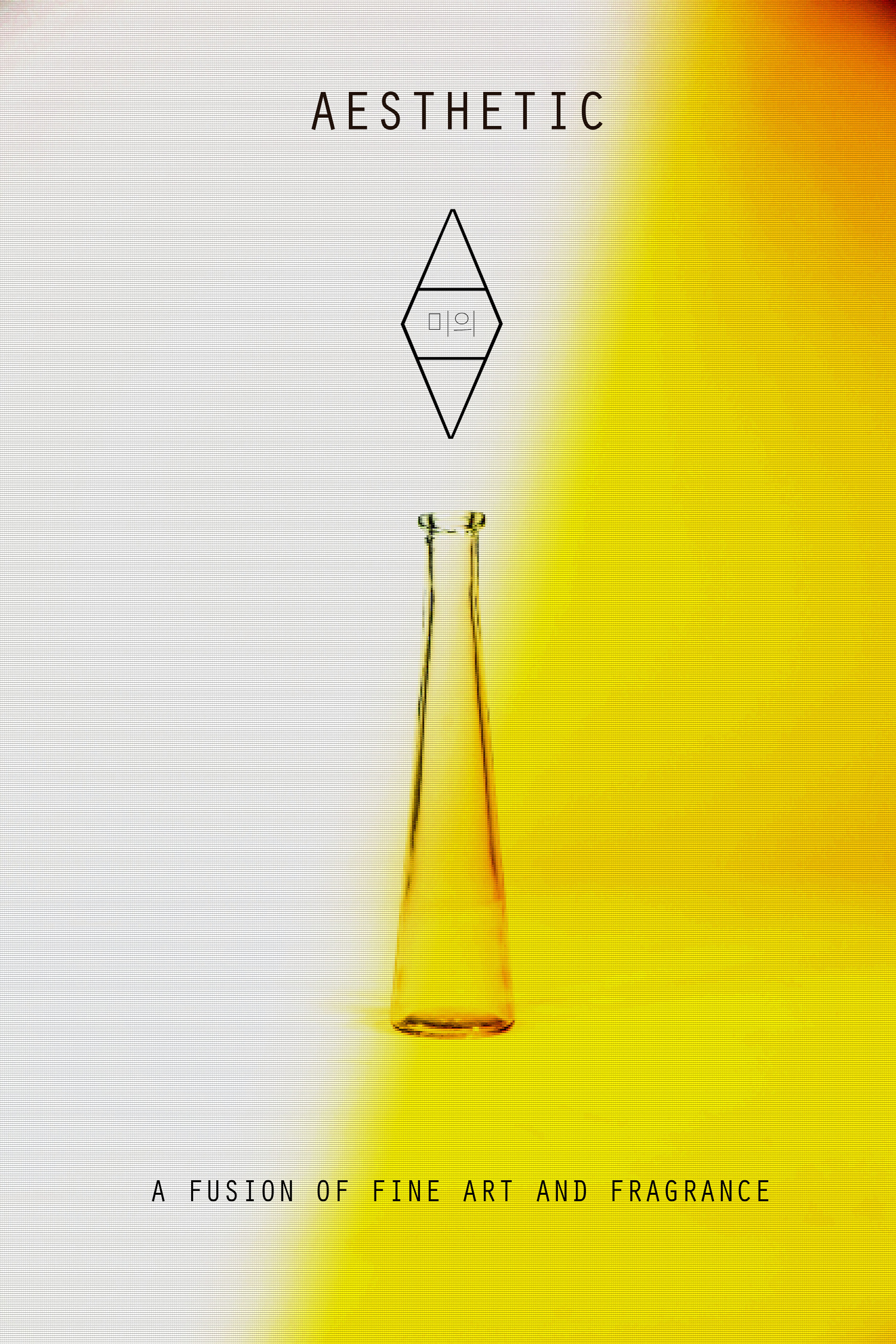 Aesthetic Promotional Material - Amber Louise