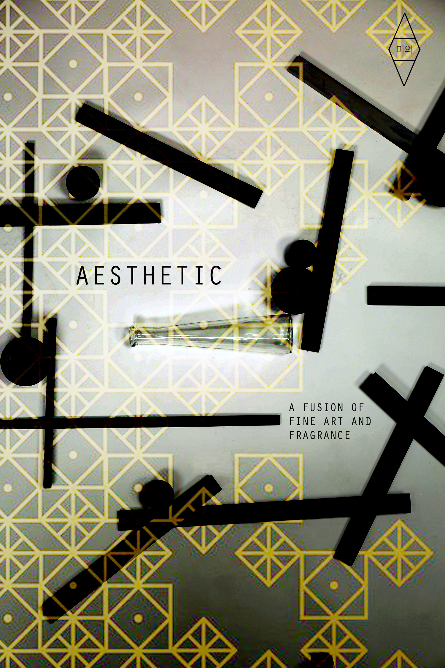 Aesthetic Promotional Material - Amber Louise
