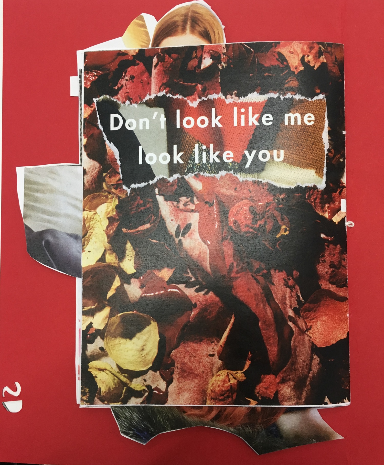 Identity Zine - Amber Louise