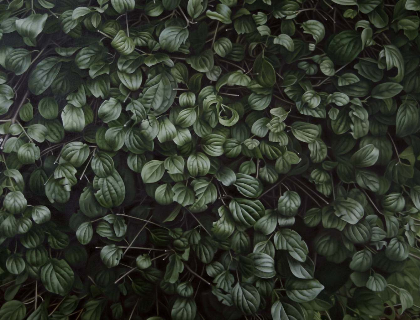 The Thick of It - Melissa Doherty
