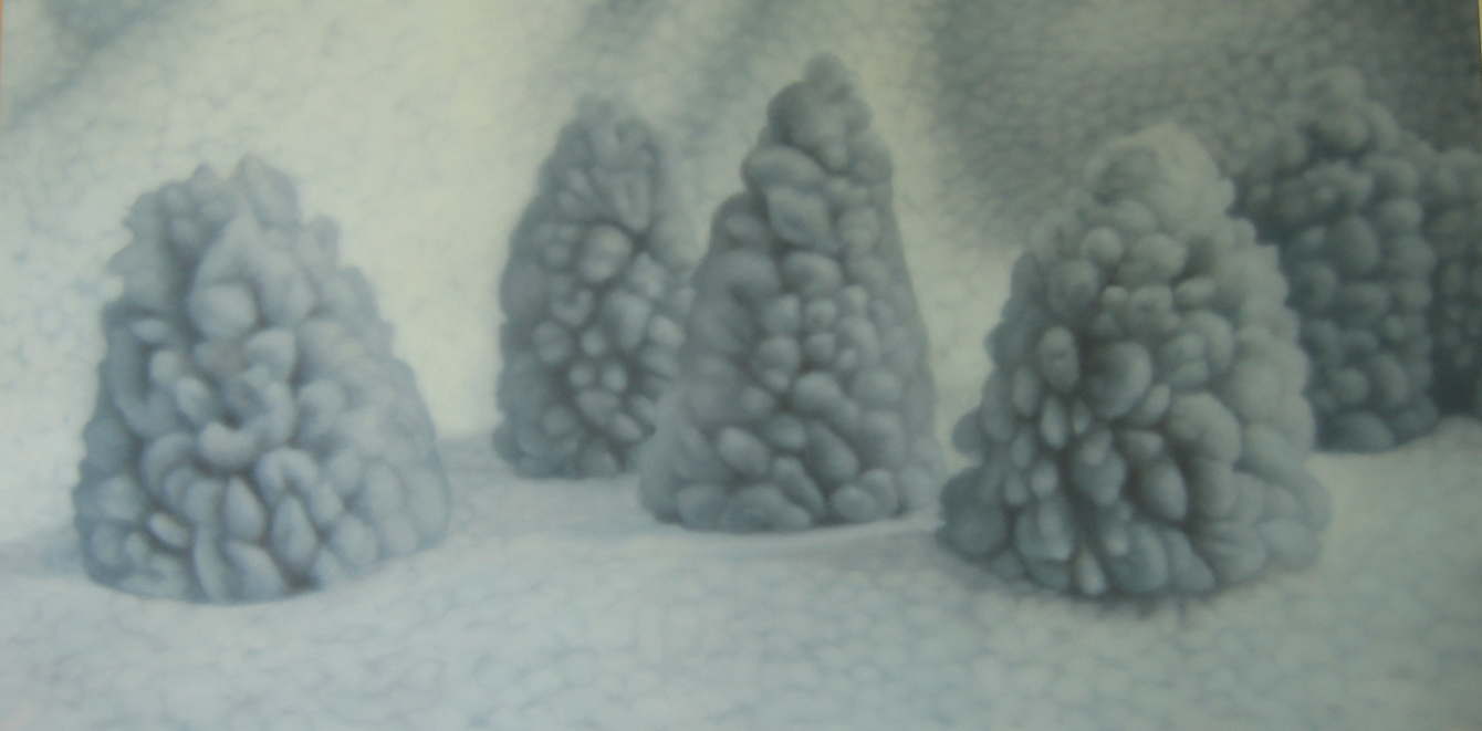 Treehugger Series - Melissa Doherty