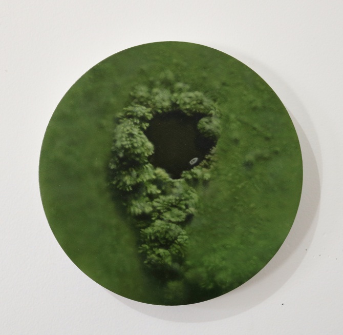 Recent Paintings - Melissa Doherty