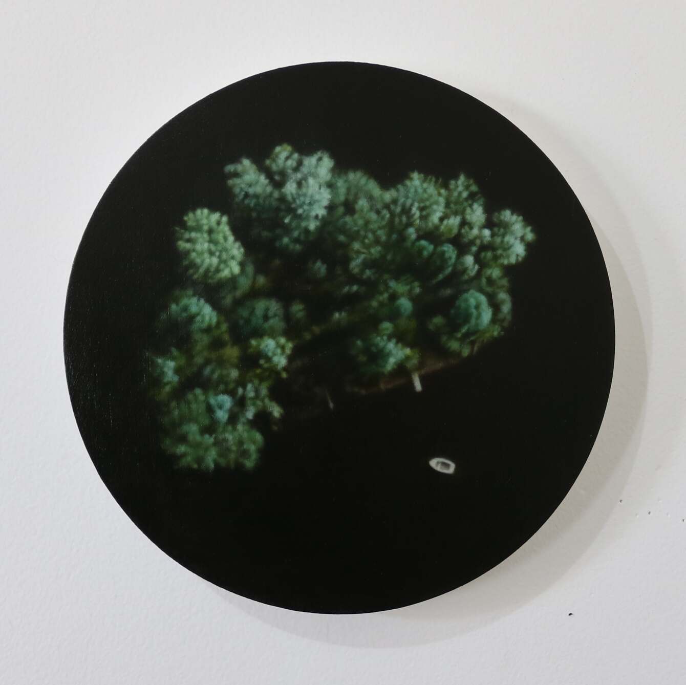 Recent Paintings - Melissa Doherty