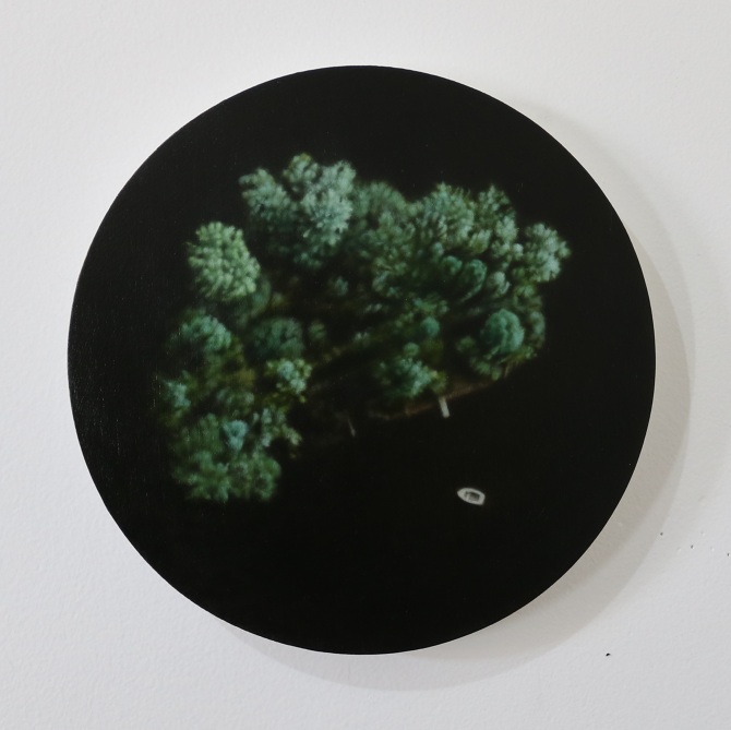 Recent Paintings - Melissa Doherty