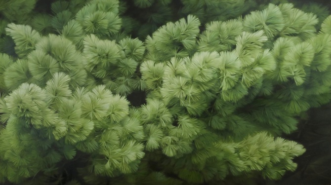 Available Works - Melissa Doherty