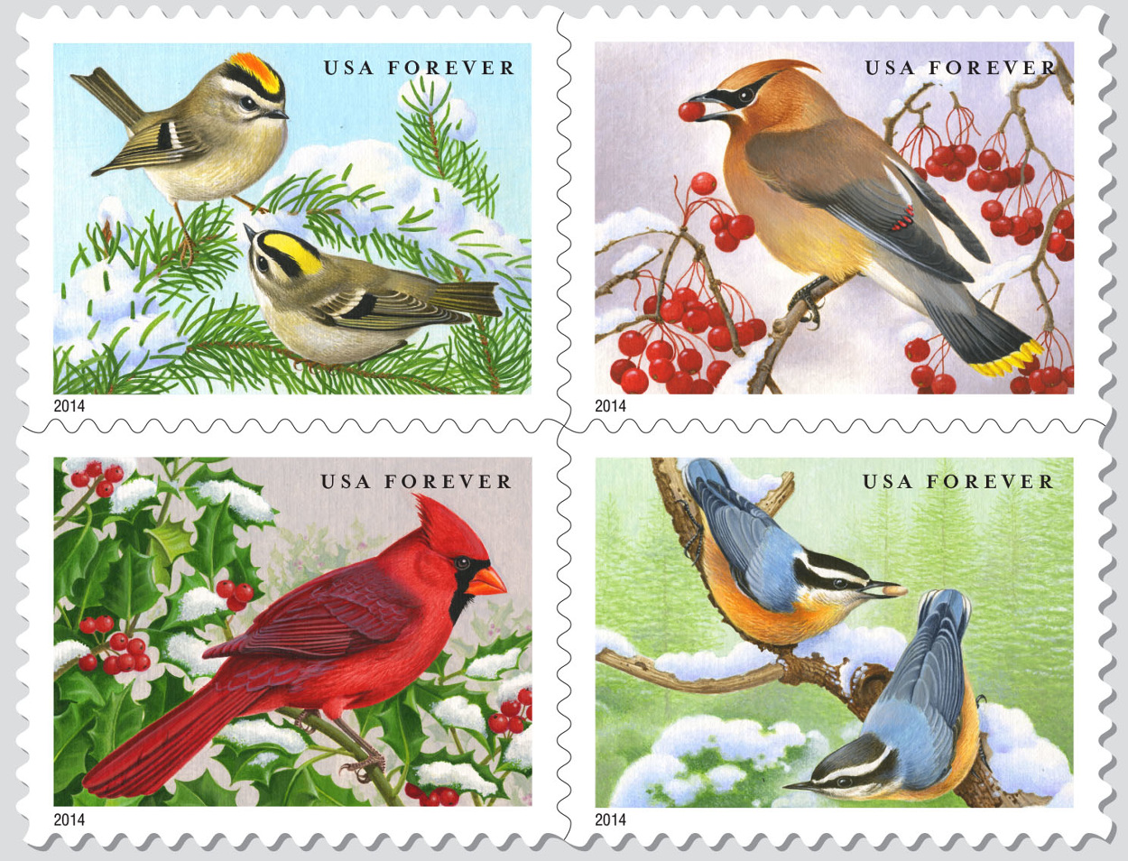 Songbirds - Derry Noyes