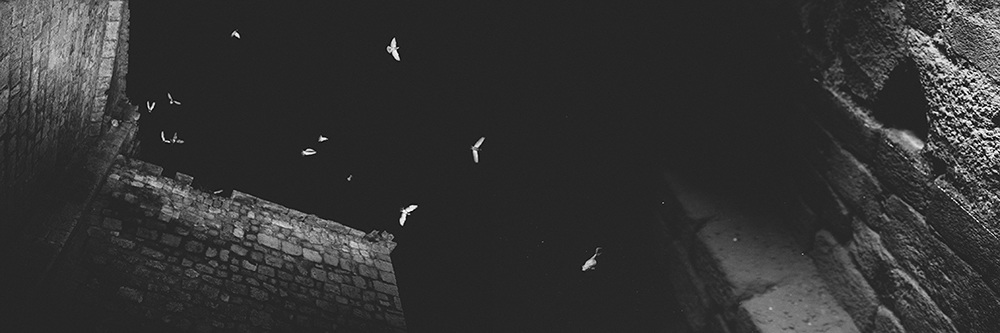 Anegar - Cristina R. Vecino