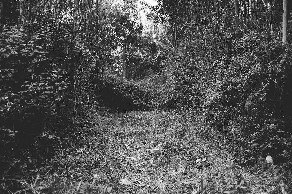 Anegar - Cristina R. Vecino