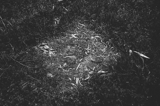 Anegar - Cristina R. Vecino