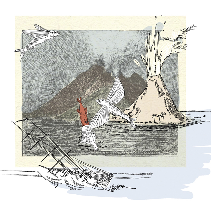 D-due Brand Collaboration. S/S 18 prints - Isabel Domenech