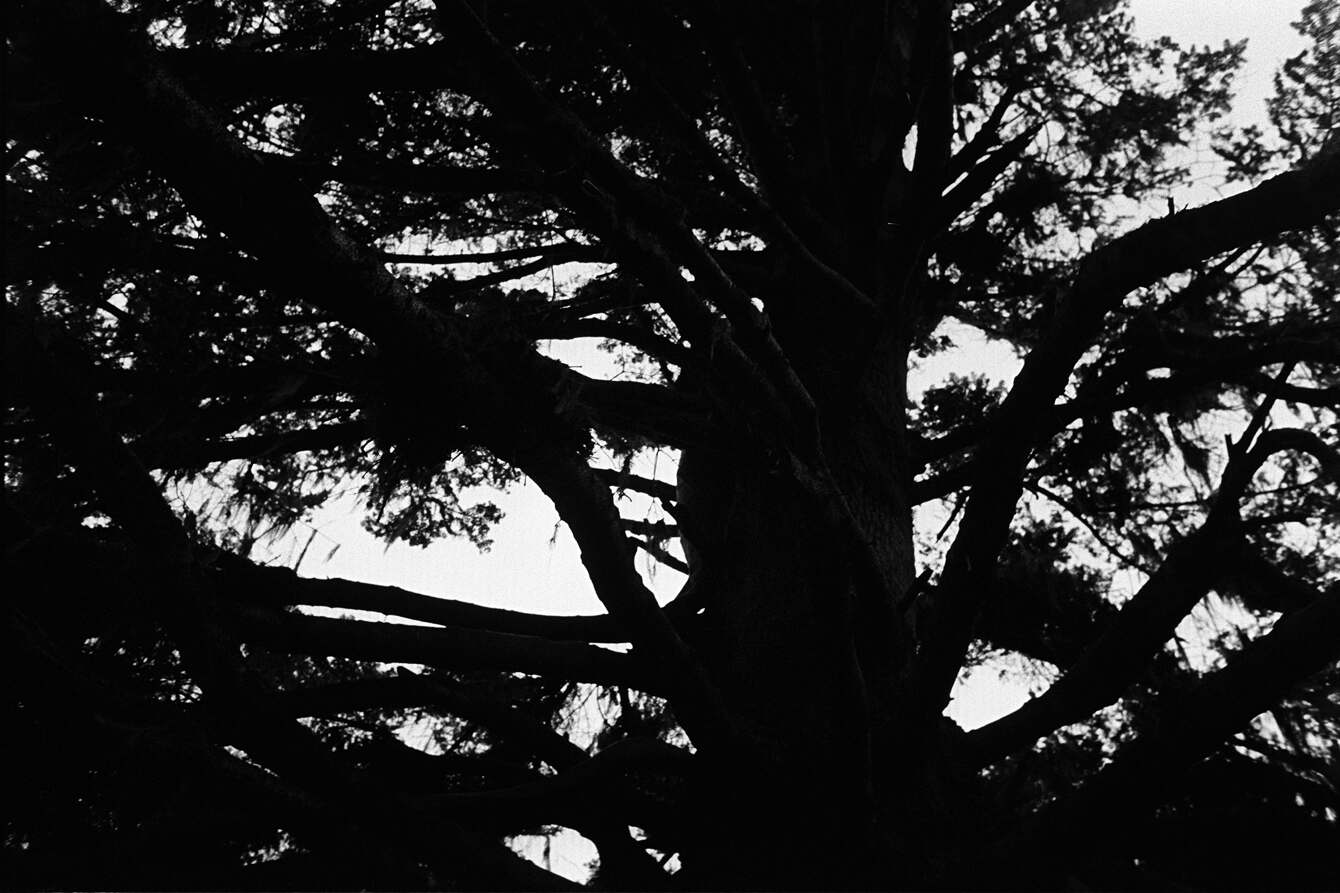 About - Tate Farrell