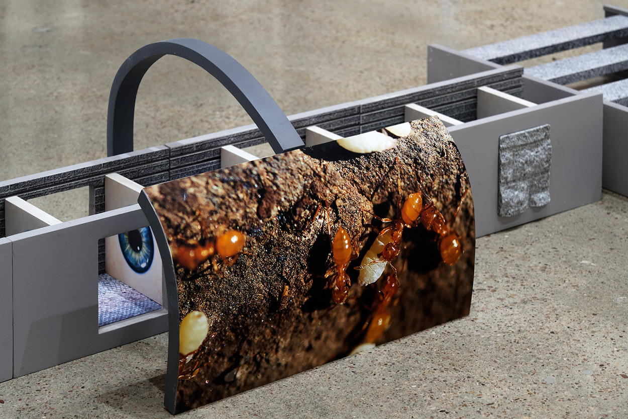 A Fever Called Living - Ling-lin Ku