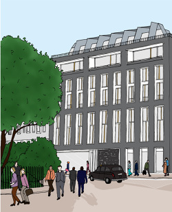 Claire Rollet illustrator