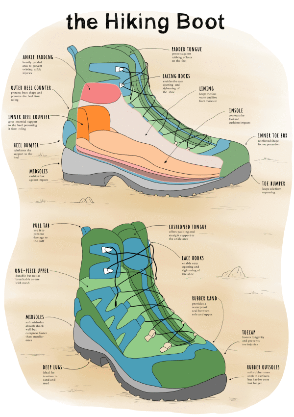 Boot Anatomy - Claire Rollet illustrator