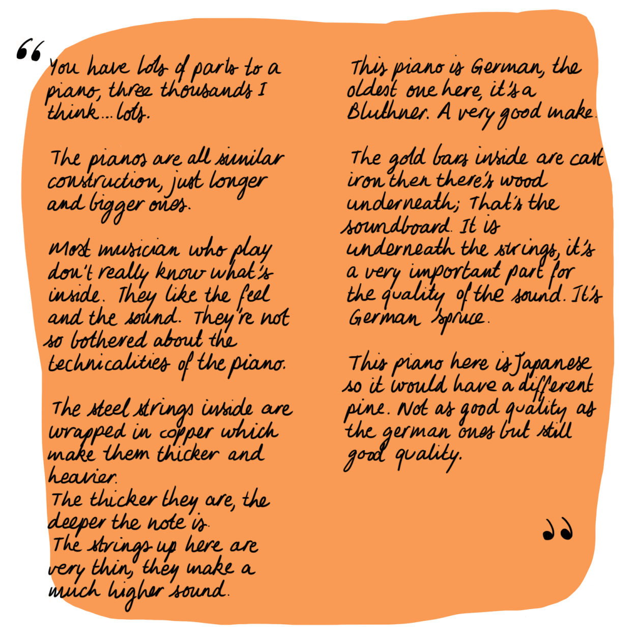 David Ingledew interview - Claire Rollet illustrator