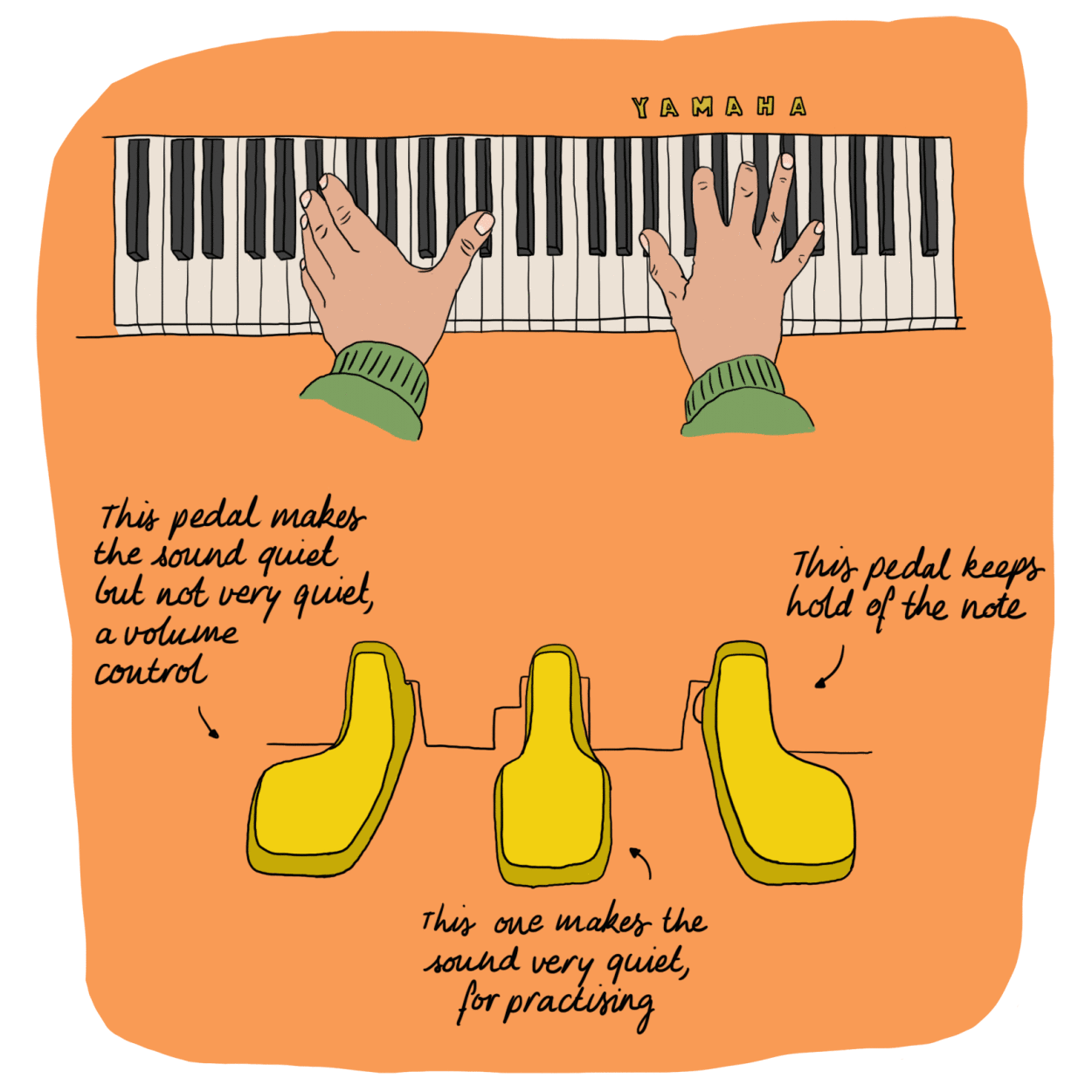 David Ingledew interview - Claire Rollet illustrator