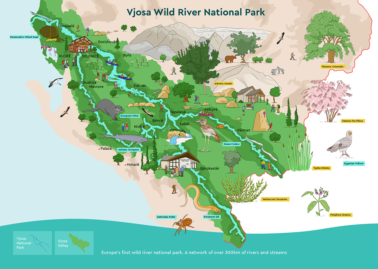 Vjosa river map - Claire Rollet illustrator