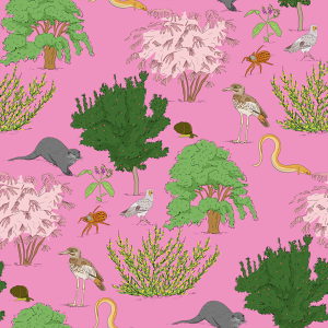 Claire Rollet illustrator