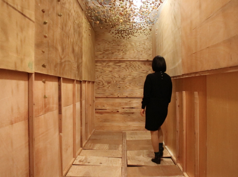 Balloon vine - Rieko Tsuji 辻 梨絵子