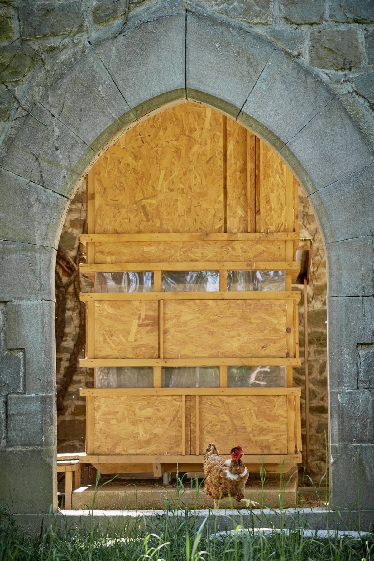 Chicken Coop - atelier calitri