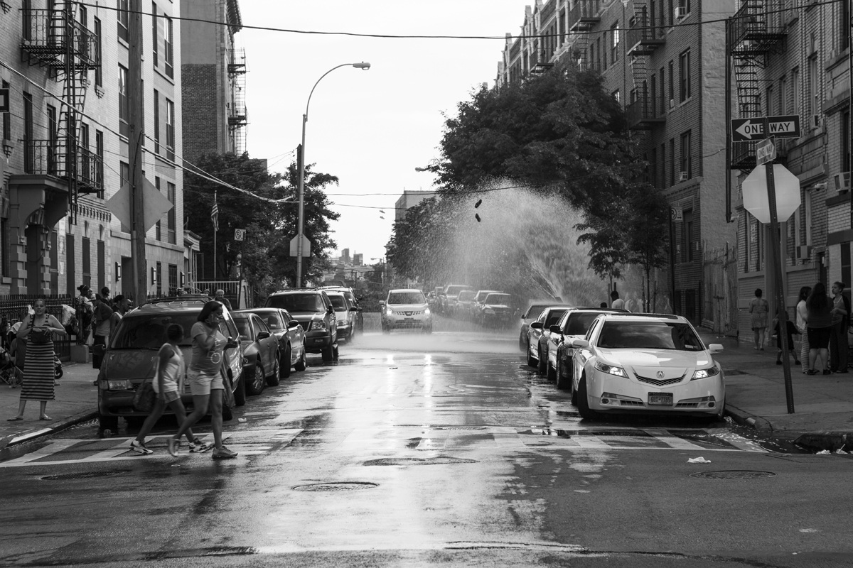 The Bronx - Elena Manente Photography