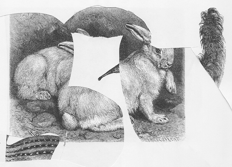 Visual Matches - graciaecheverria