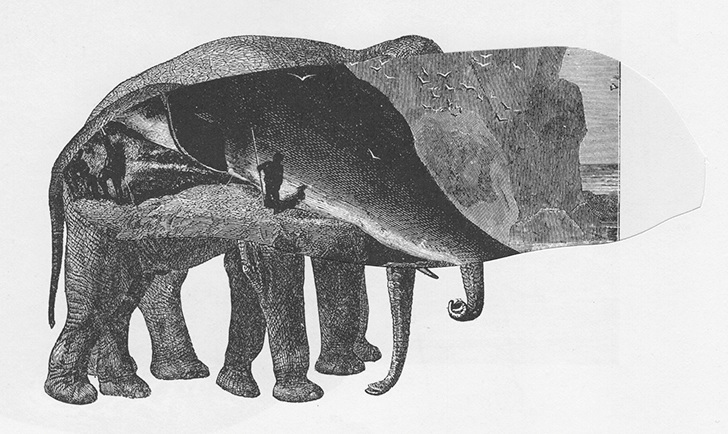 Visual Matches - graciaecheverria