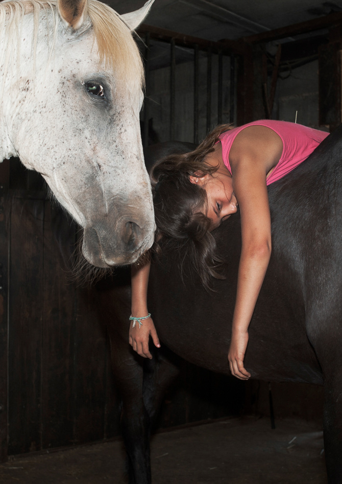 Nobody S Horse Www Piotrpietrus
