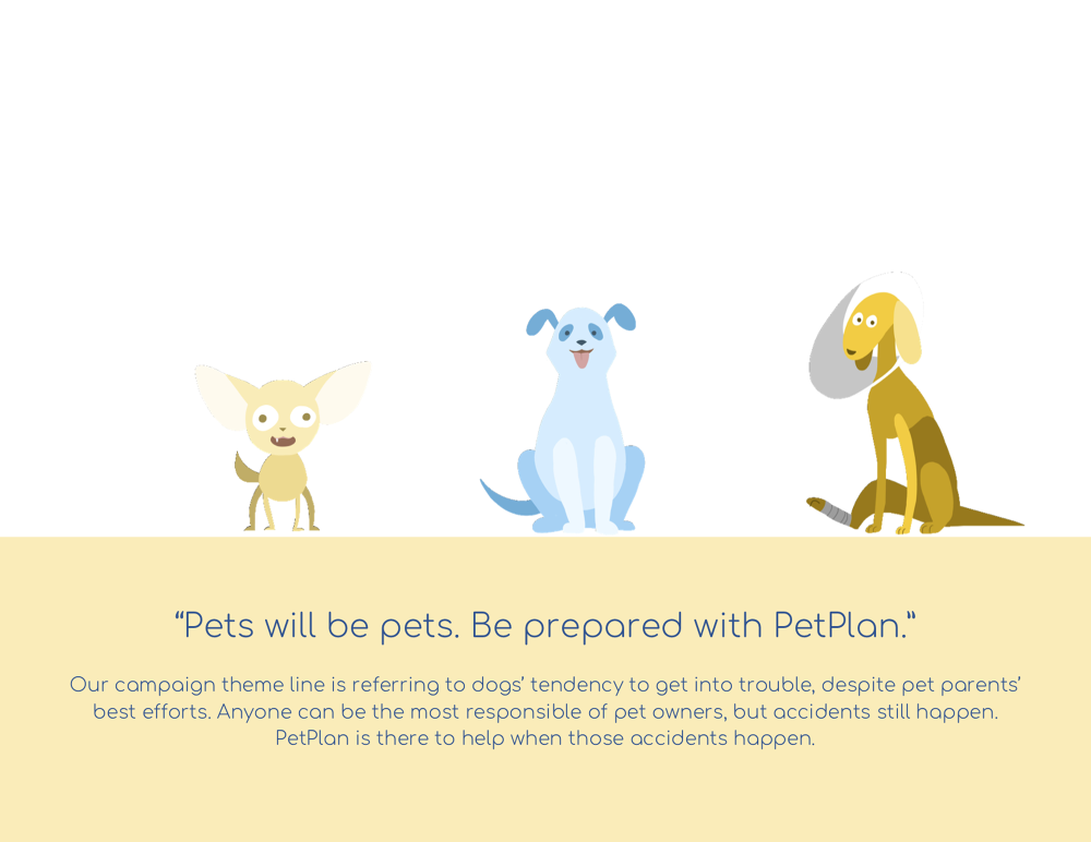 Petplan Campaign - Mari Larsen