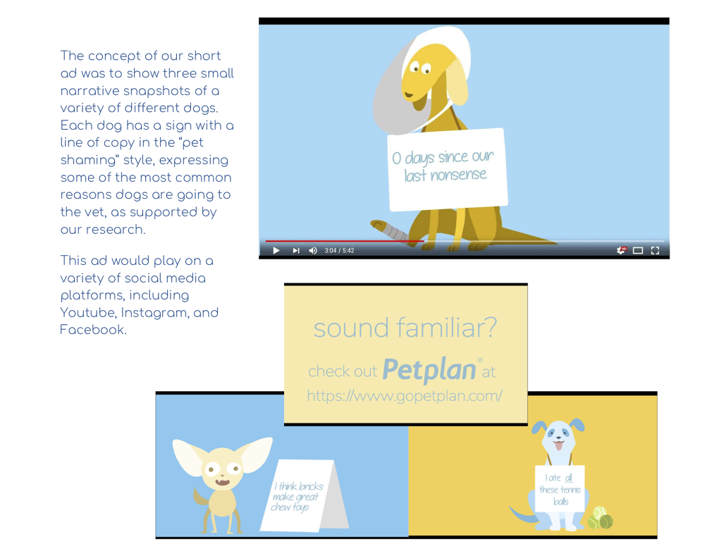 Petplan Campaign - Mari Larsen