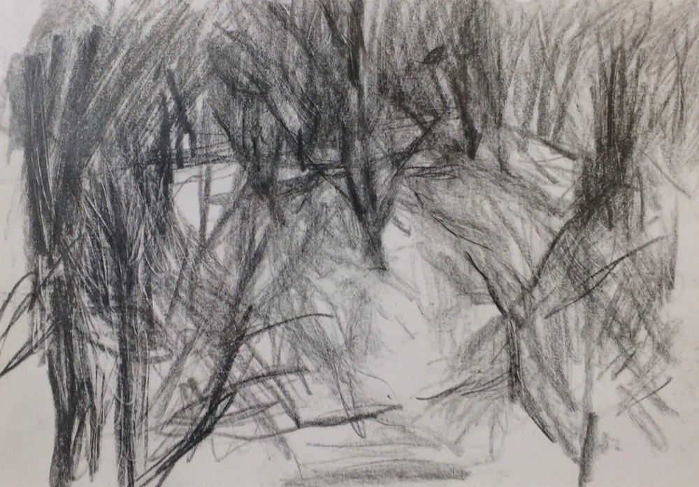 Observation - George Farrow-Hawkins