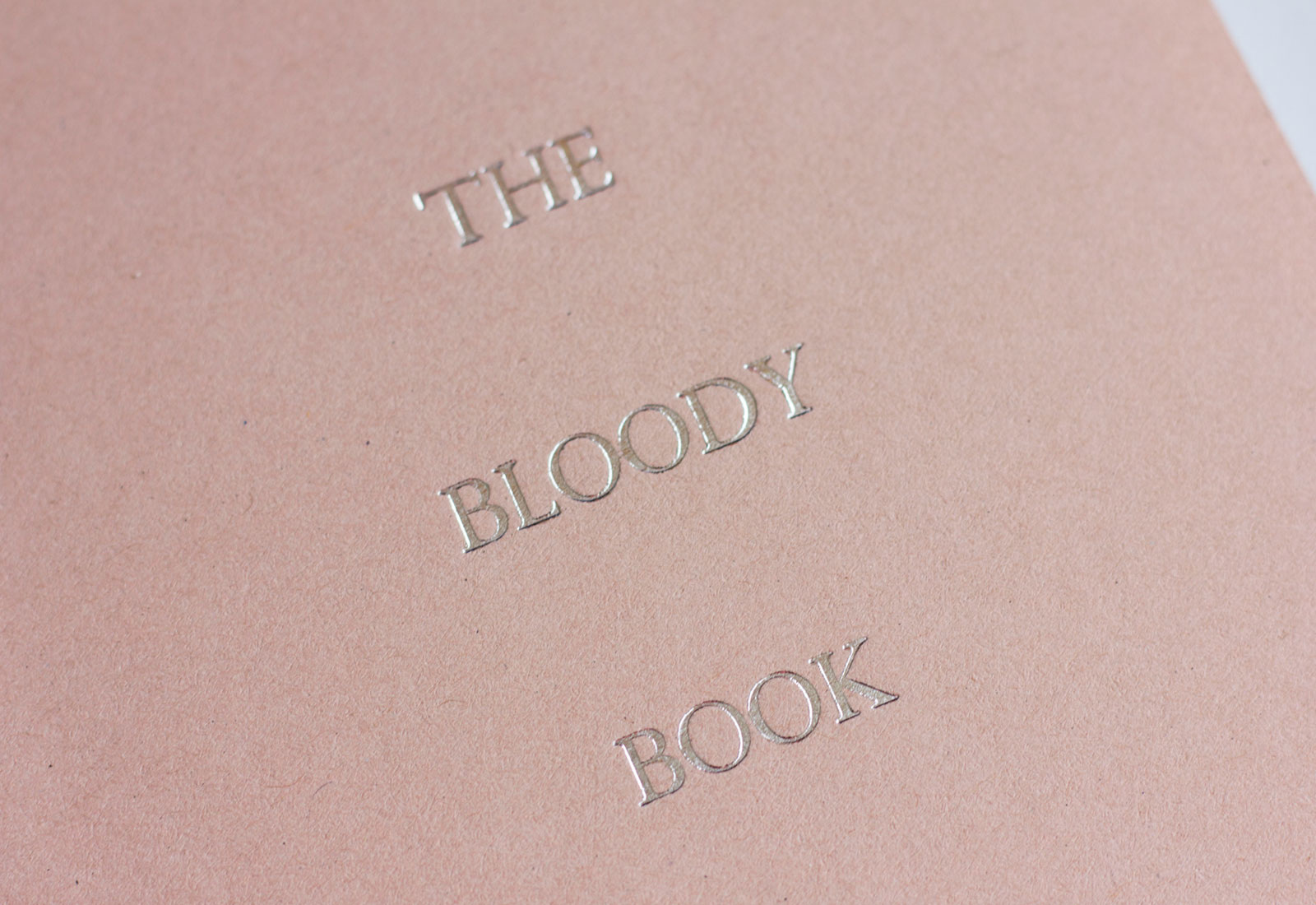 The Bloody Book - AMY VIEN