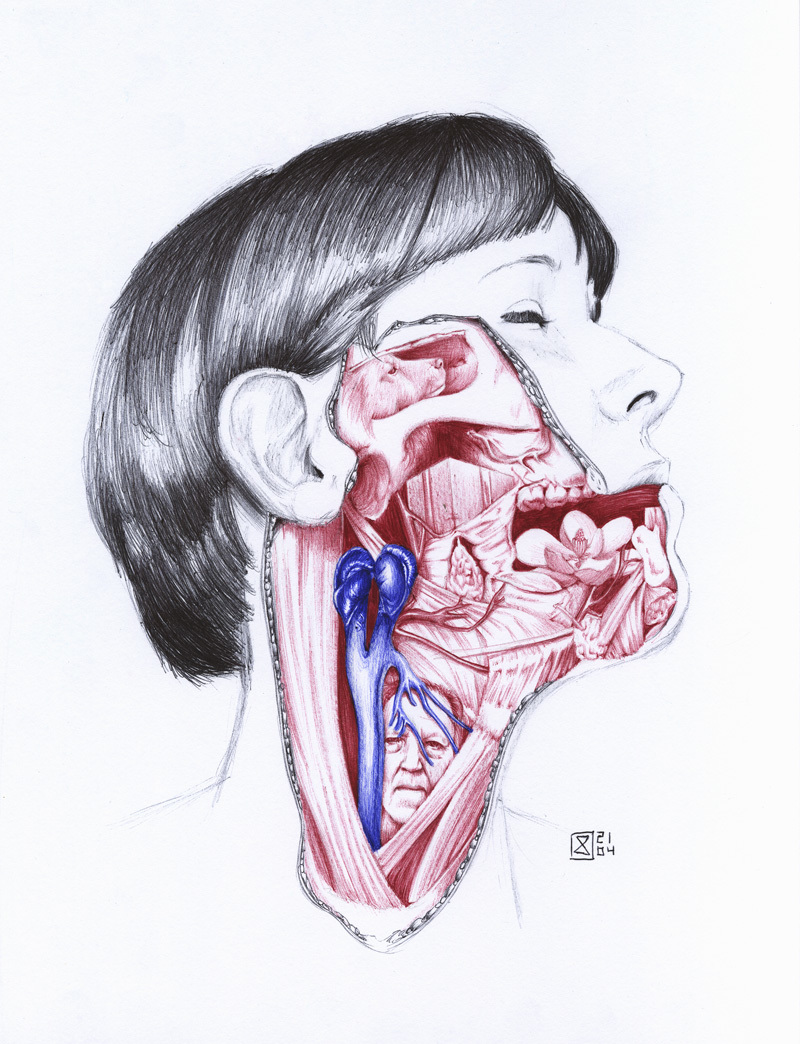 Anatomy of project - szanfrisco