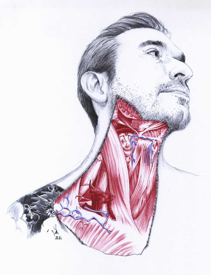 Anatomy of project - szanfrisco