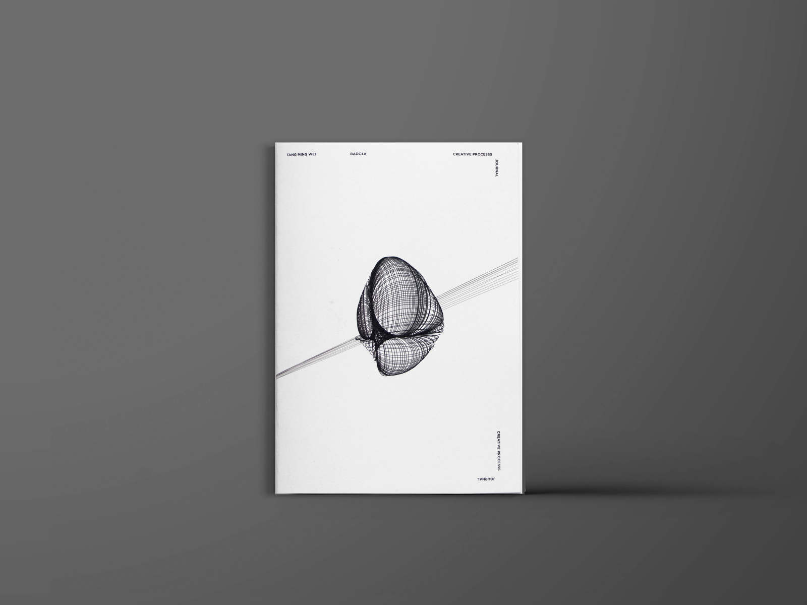 Creative Process Journal - Jeremiah Tang