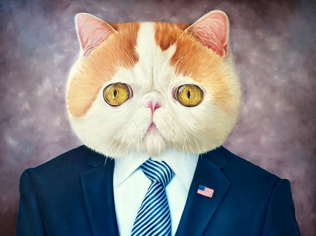Cat President - Mandee Heil Art