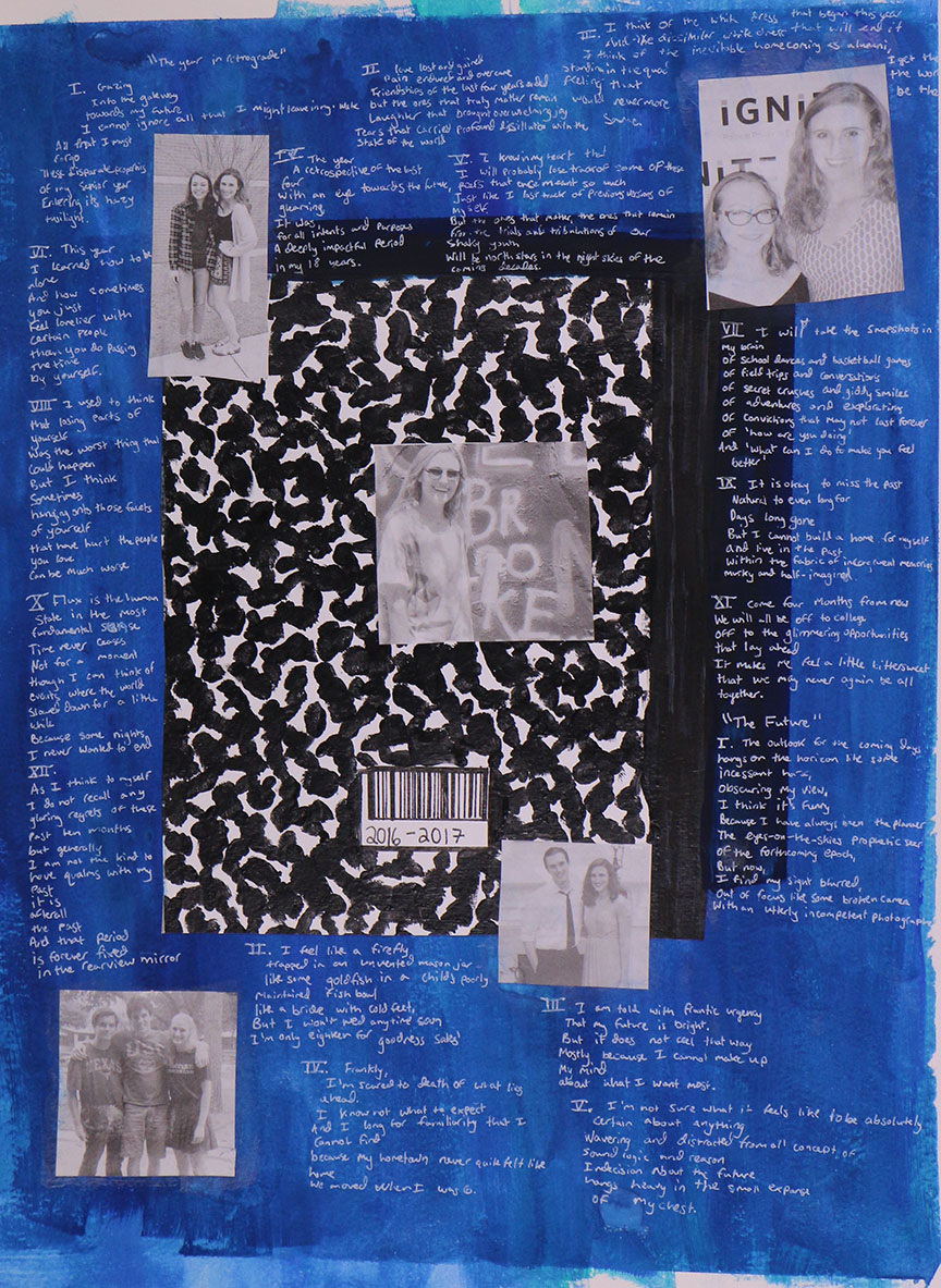 AP Concentration Portfolio - Brooke Bulmash Portfolio