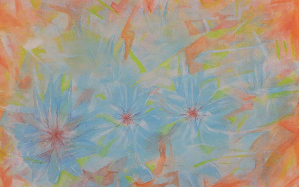 AP Breadth Portfolio - Brooke Bulmash Portfolio