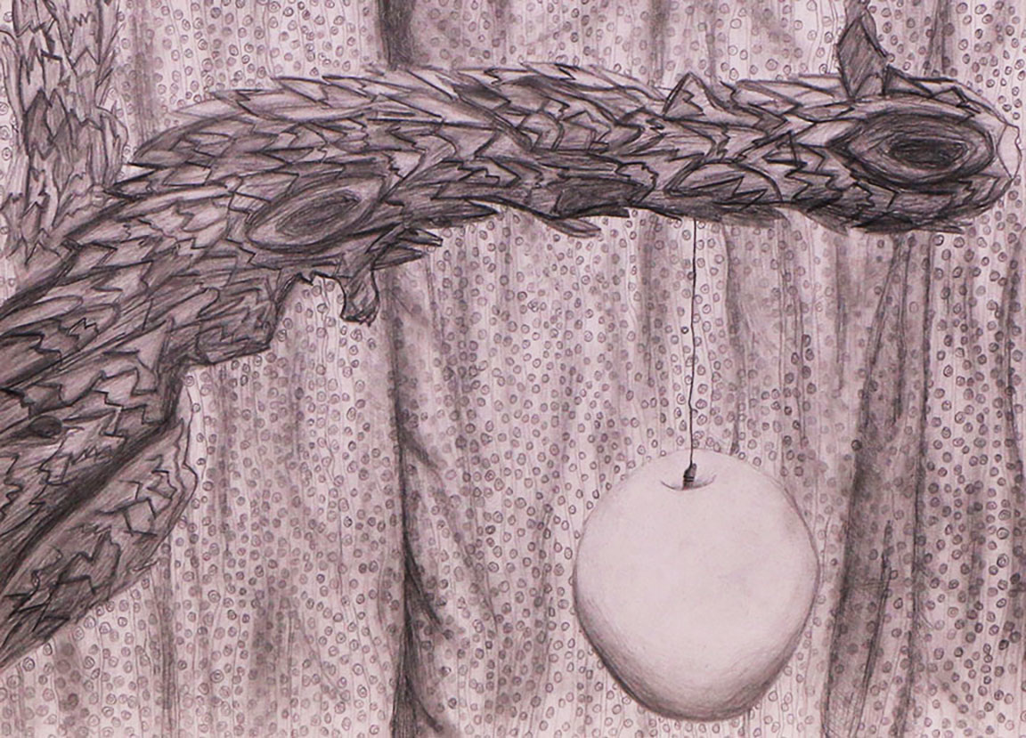 AP Breadth Portfolio - Brooke Bulmash Portfolio