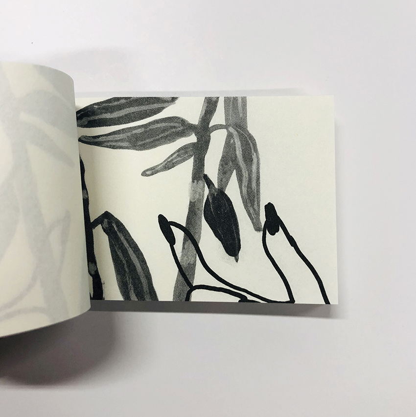 Our flipbooks - Napa Books
