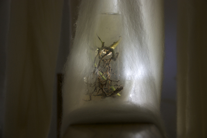 Ensayo para el desarraigo - Pamela Kasman